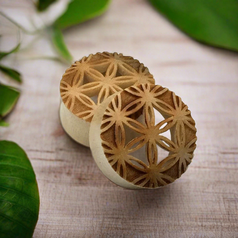 Wood Ear Gauges | Plugs And Tunnels | Premium Stretched Ears Body ...